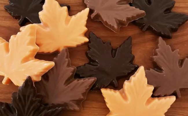 Handcrafted Chocolates, Clearview Township, ON | Jamie's Main & Local
